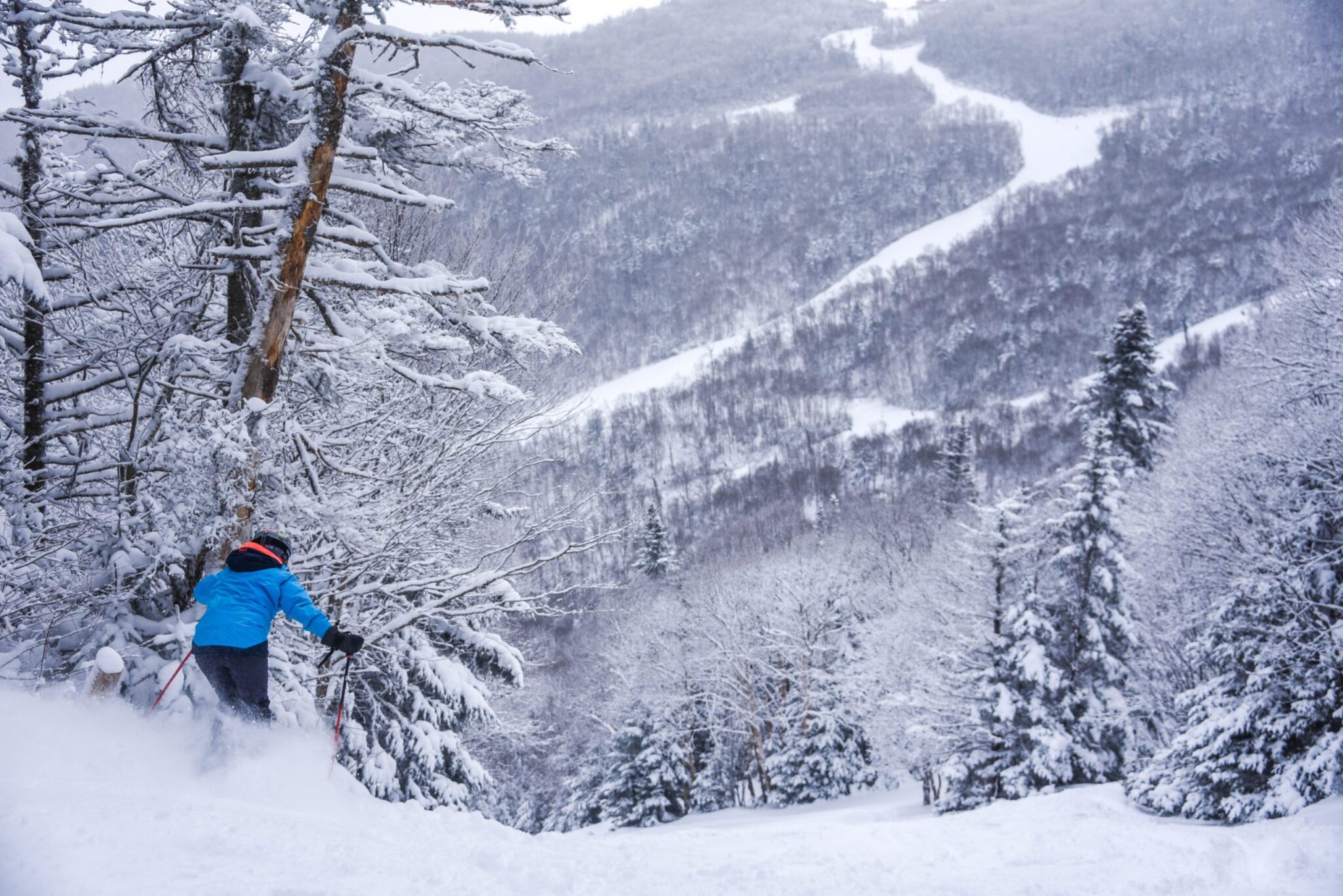 The Flyin Ryan Foundation and Sugarbush - SugarBlog