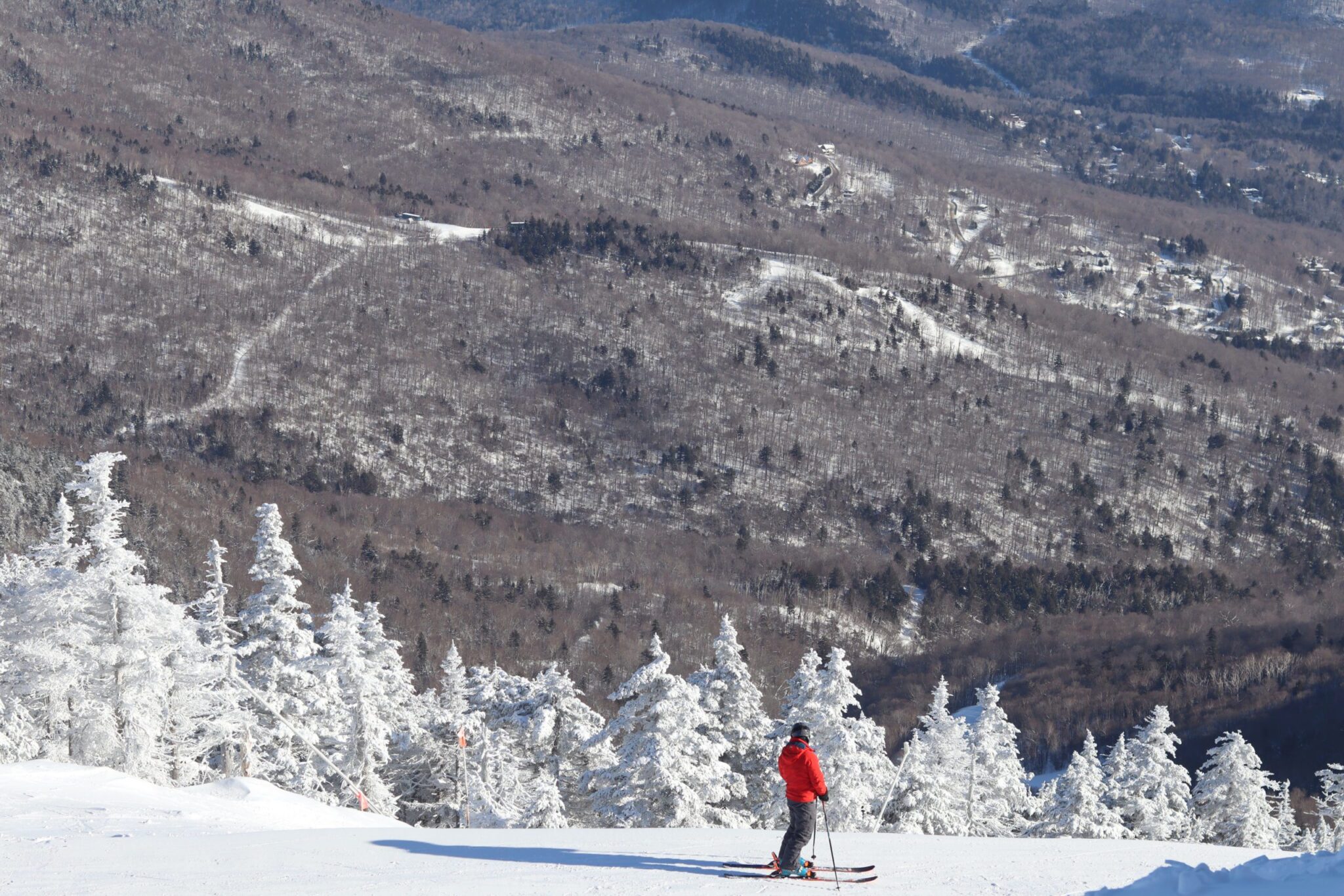 On the Cords: Living Like a Local - SugarBlog