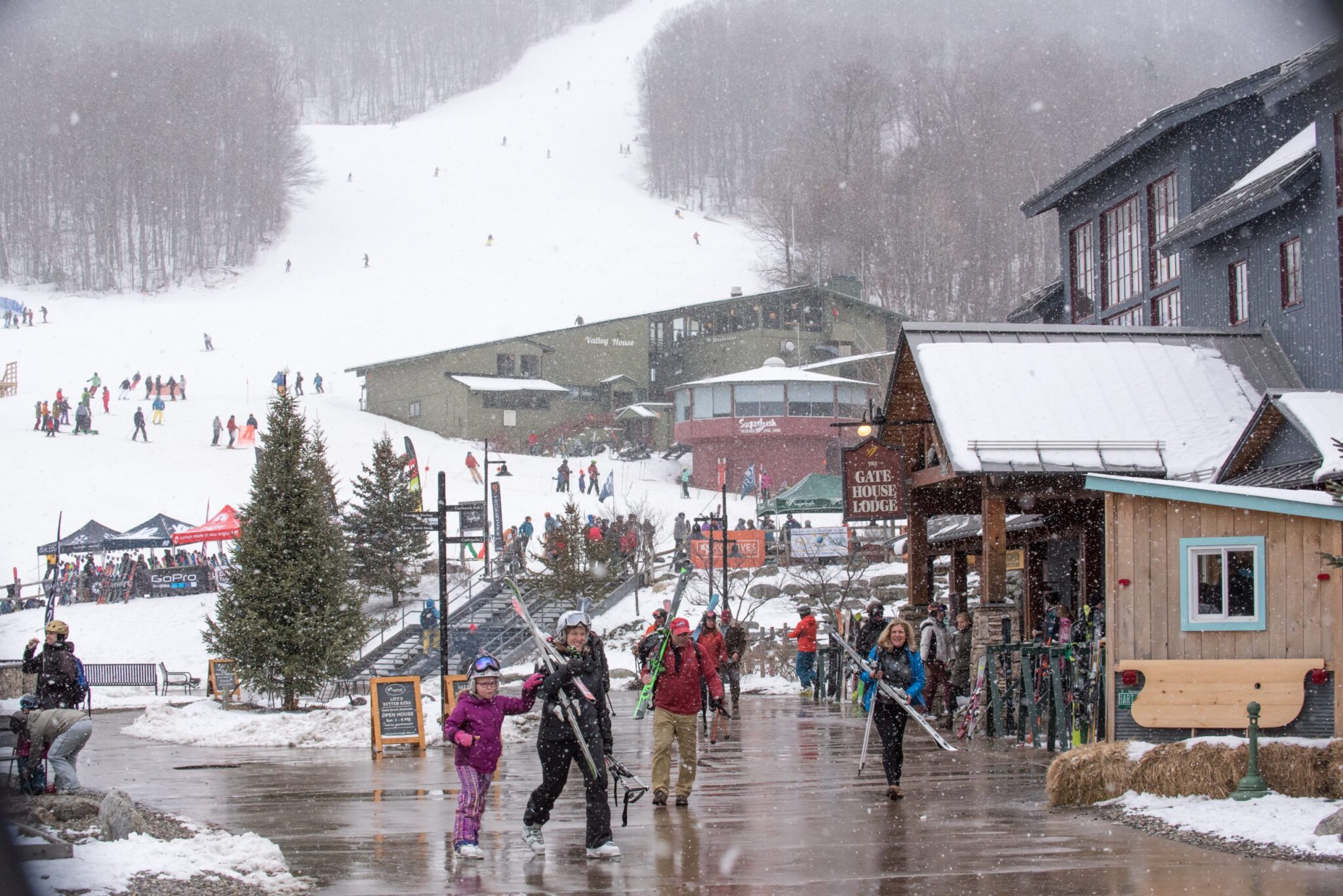Navigating Busy Season at the Resort - SugarBlog