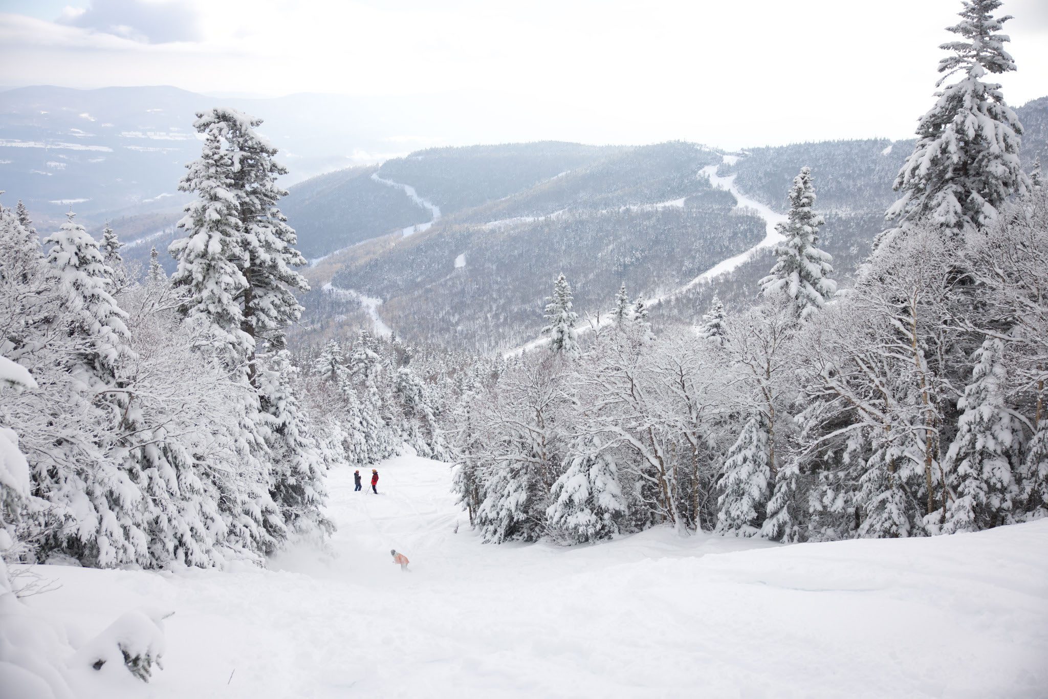 Welcome This Season’s Snow Reporter, Lucy! - SugarBlog