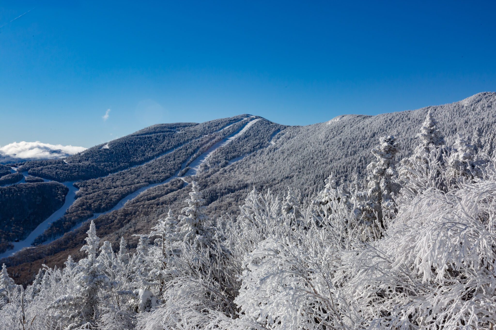 Tree Well Safety: Skiing Smart in Deep Snow - SugarBlog