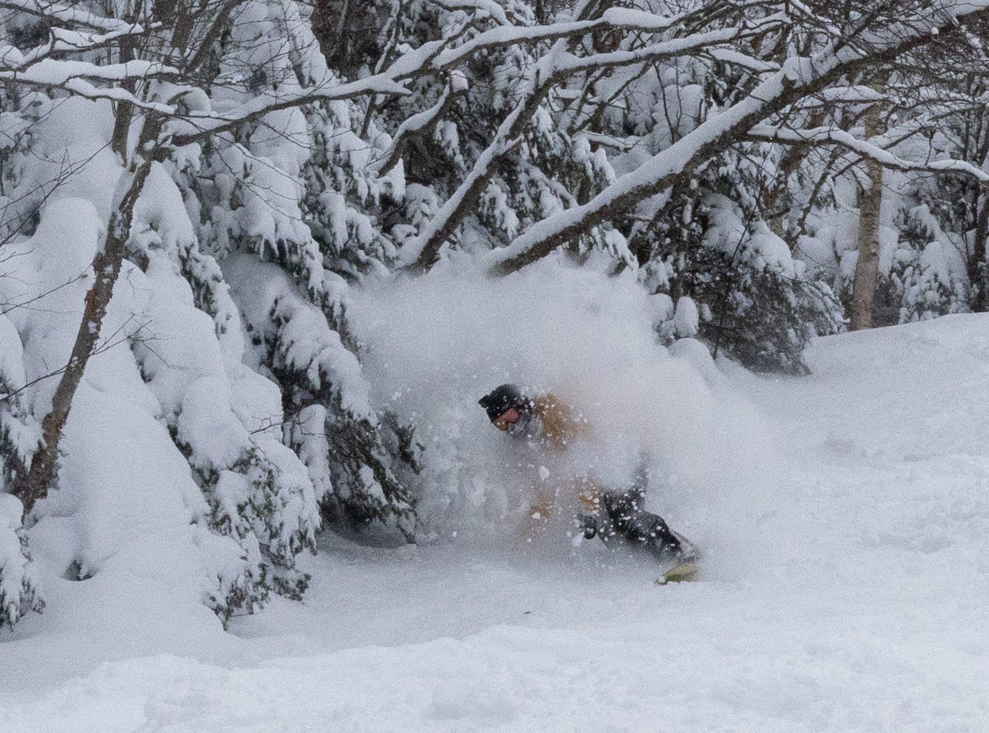 Tree Well Safety: Skiing Smart in Deep Snow - SugarBlog