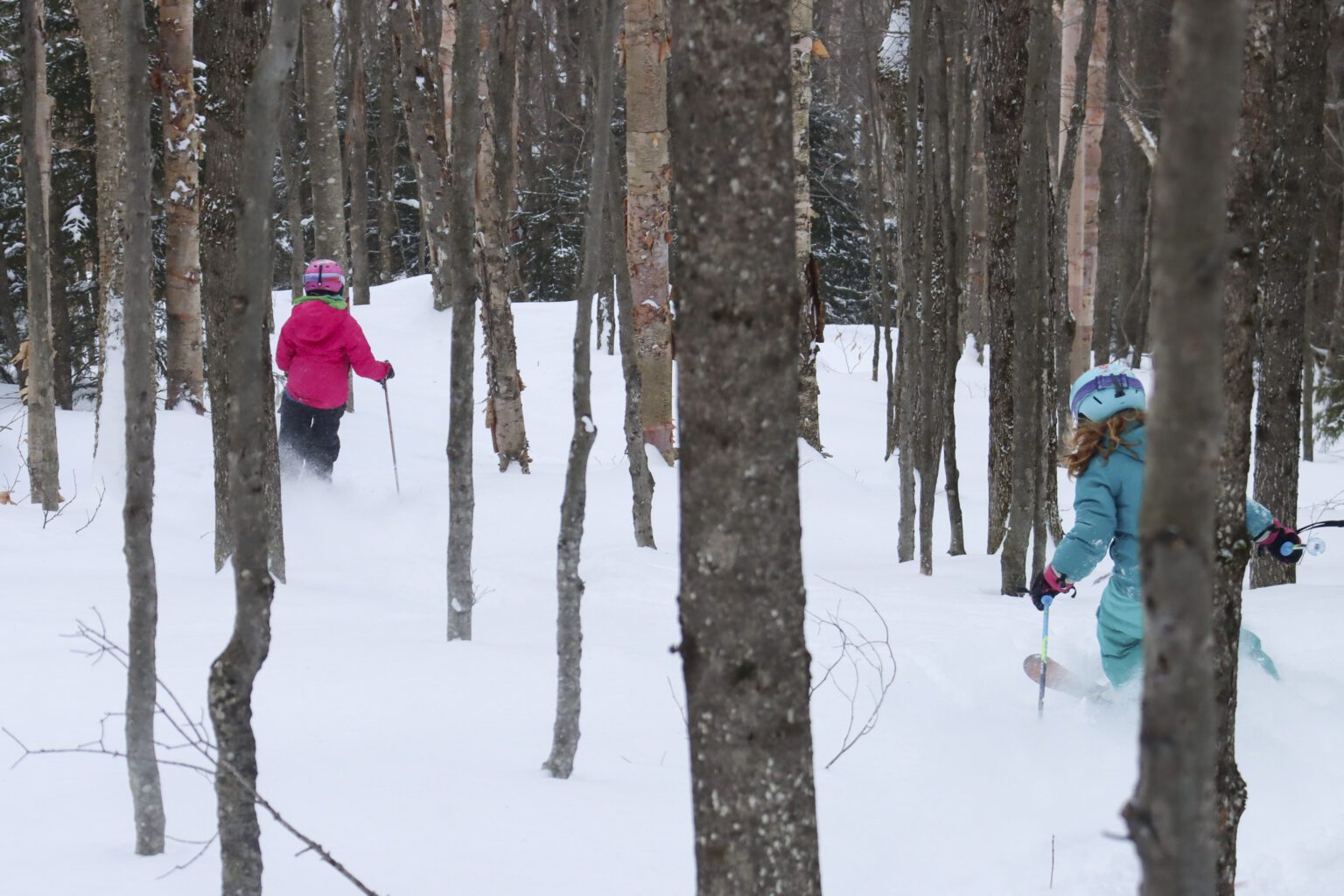 Tree Well Safety: Skiing Smart in Deep Snow - SugarBlog
