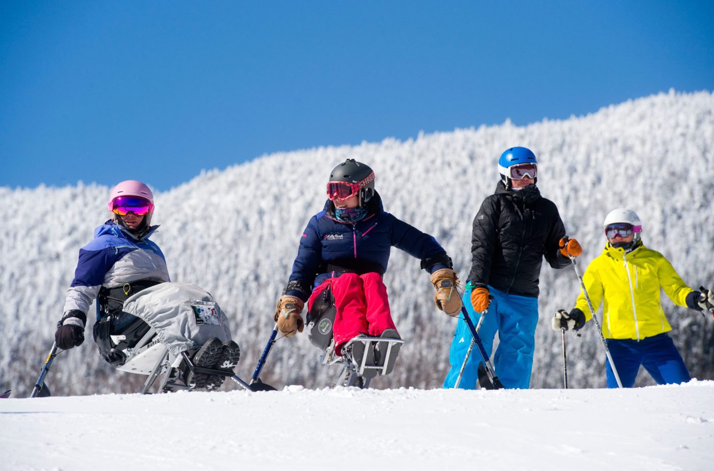 Story of the Kelly Brush Foundation - SugarBlog